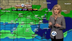 Hally Vogel - WXYZ 7 Detroit - TvNewsCaps